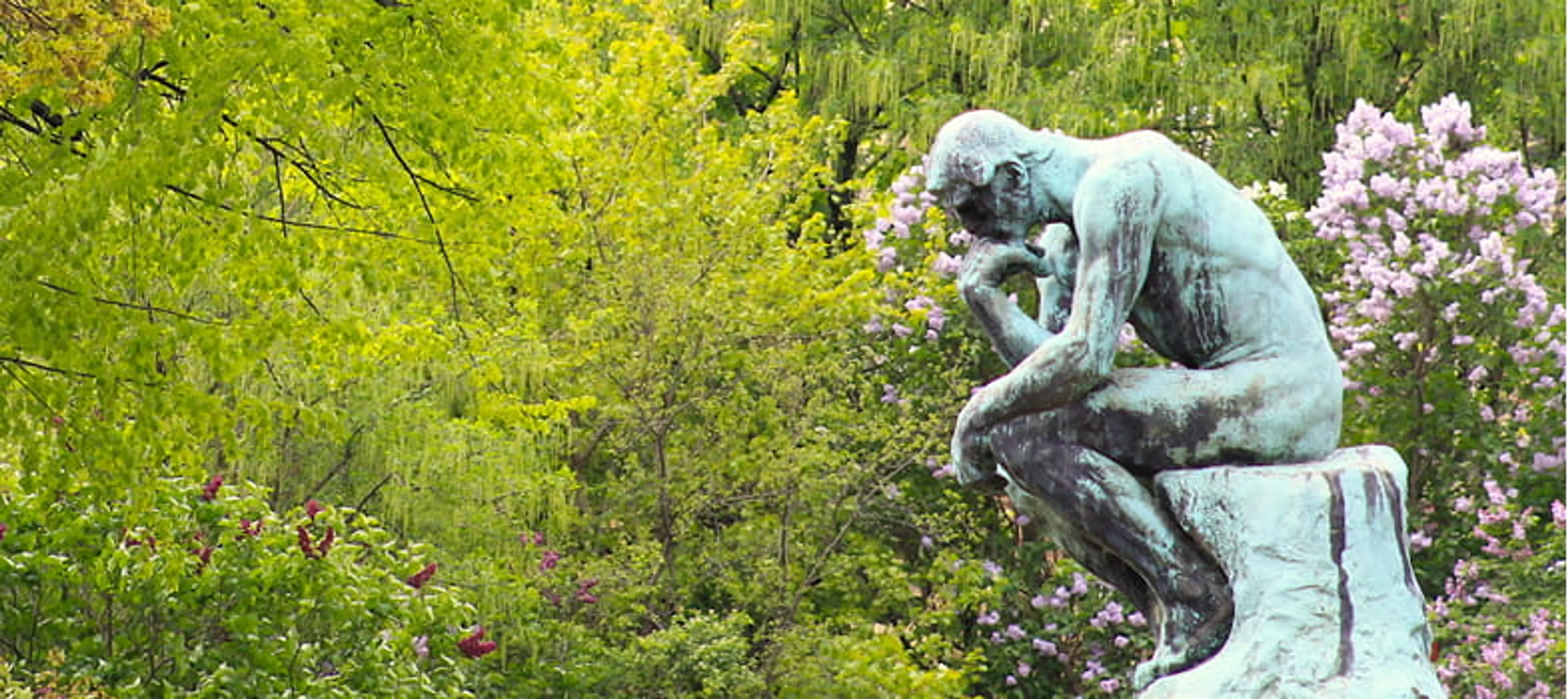 Philosophy Courses & Degrees | Open Universities Australia